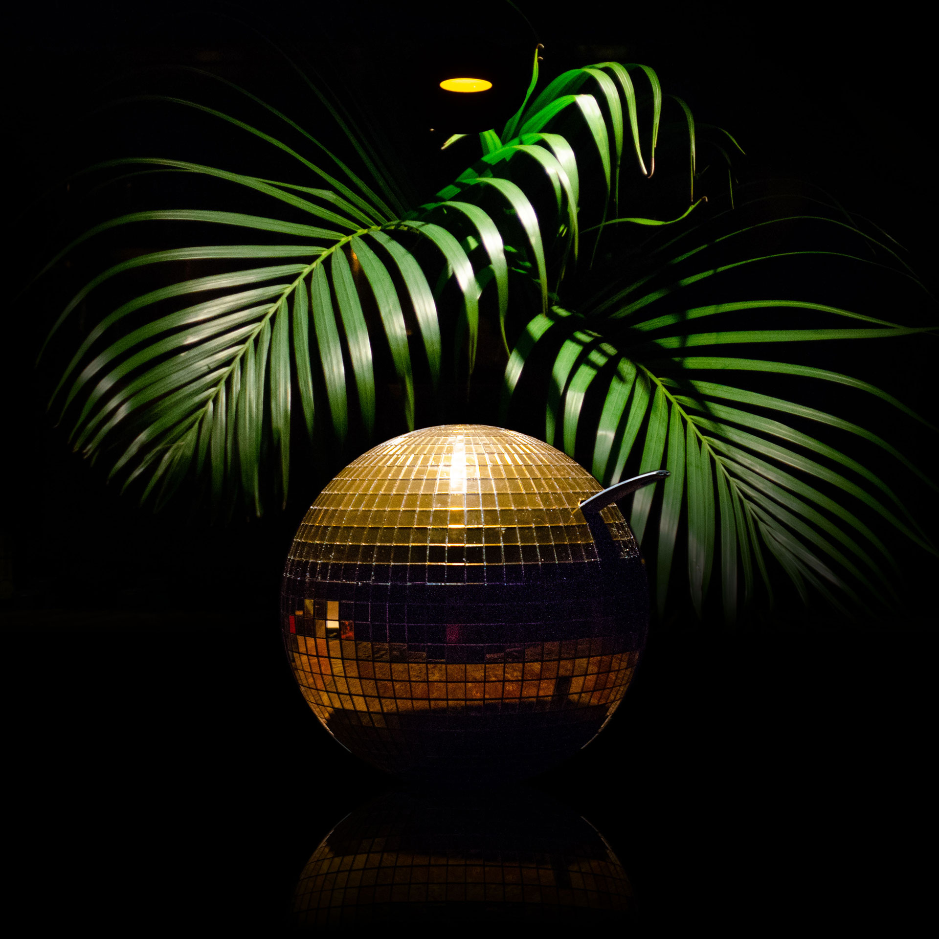 The Other Room/Roof – natalie.sg