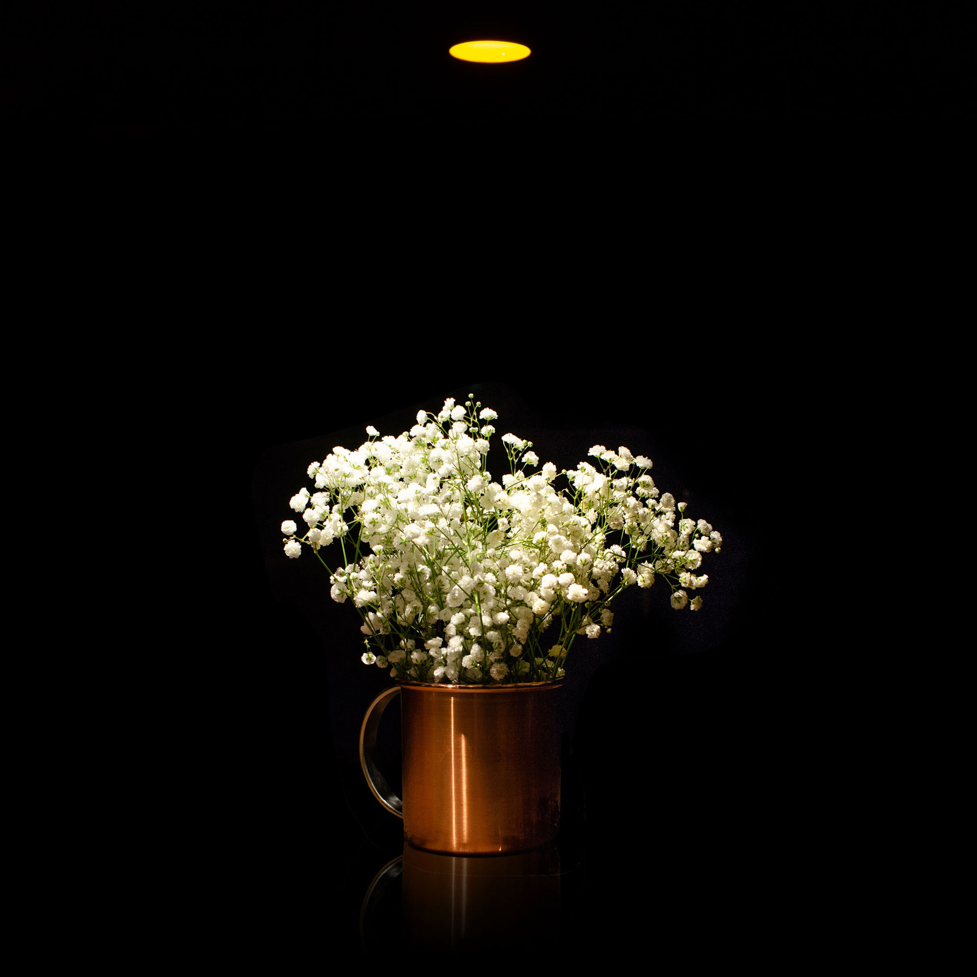 The Other Room/Roof – natalie.sg